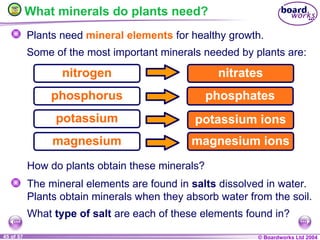 Plant nutrition and photosynthesis process in plants | PPT