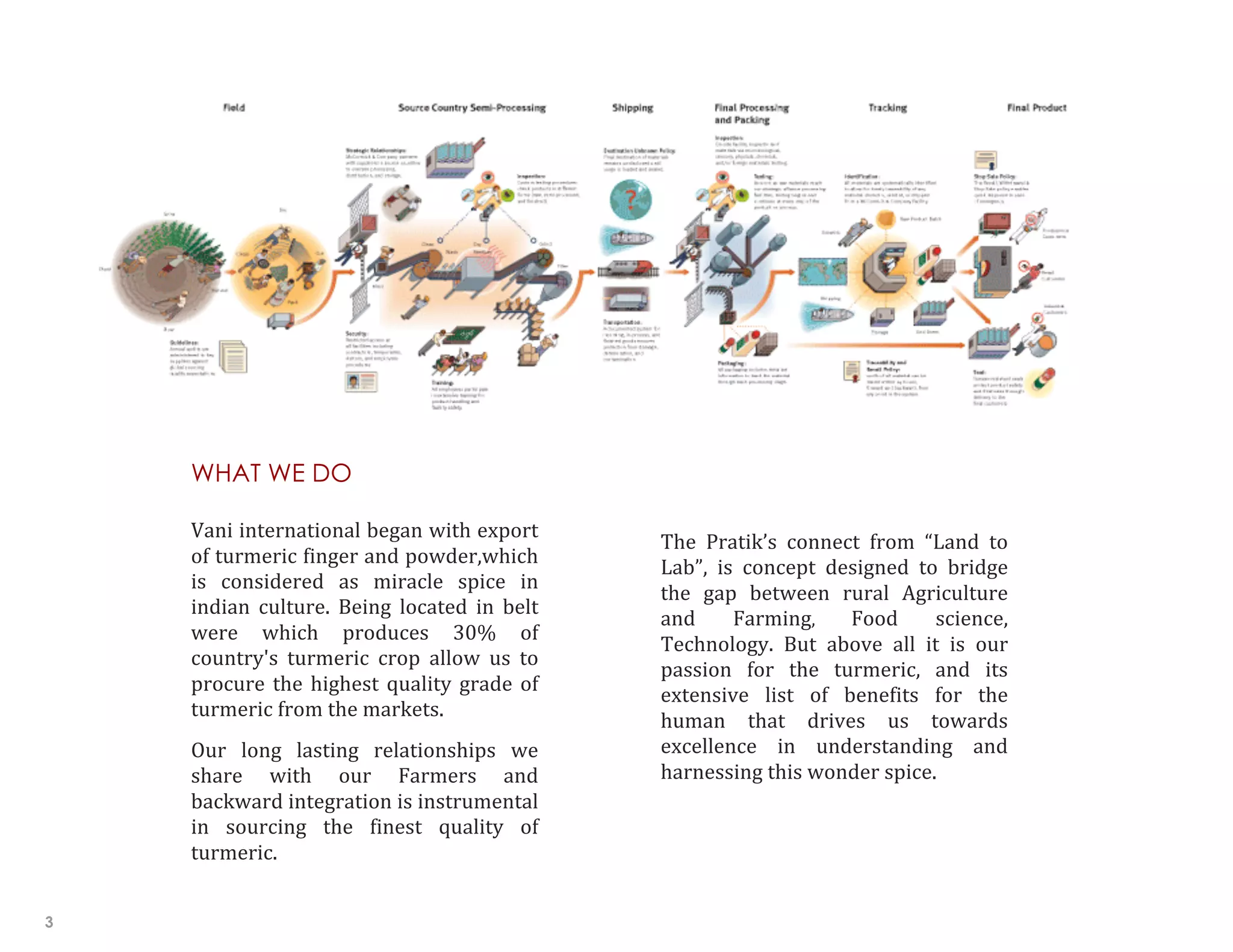 TURMERIC BROCHURE | PDF