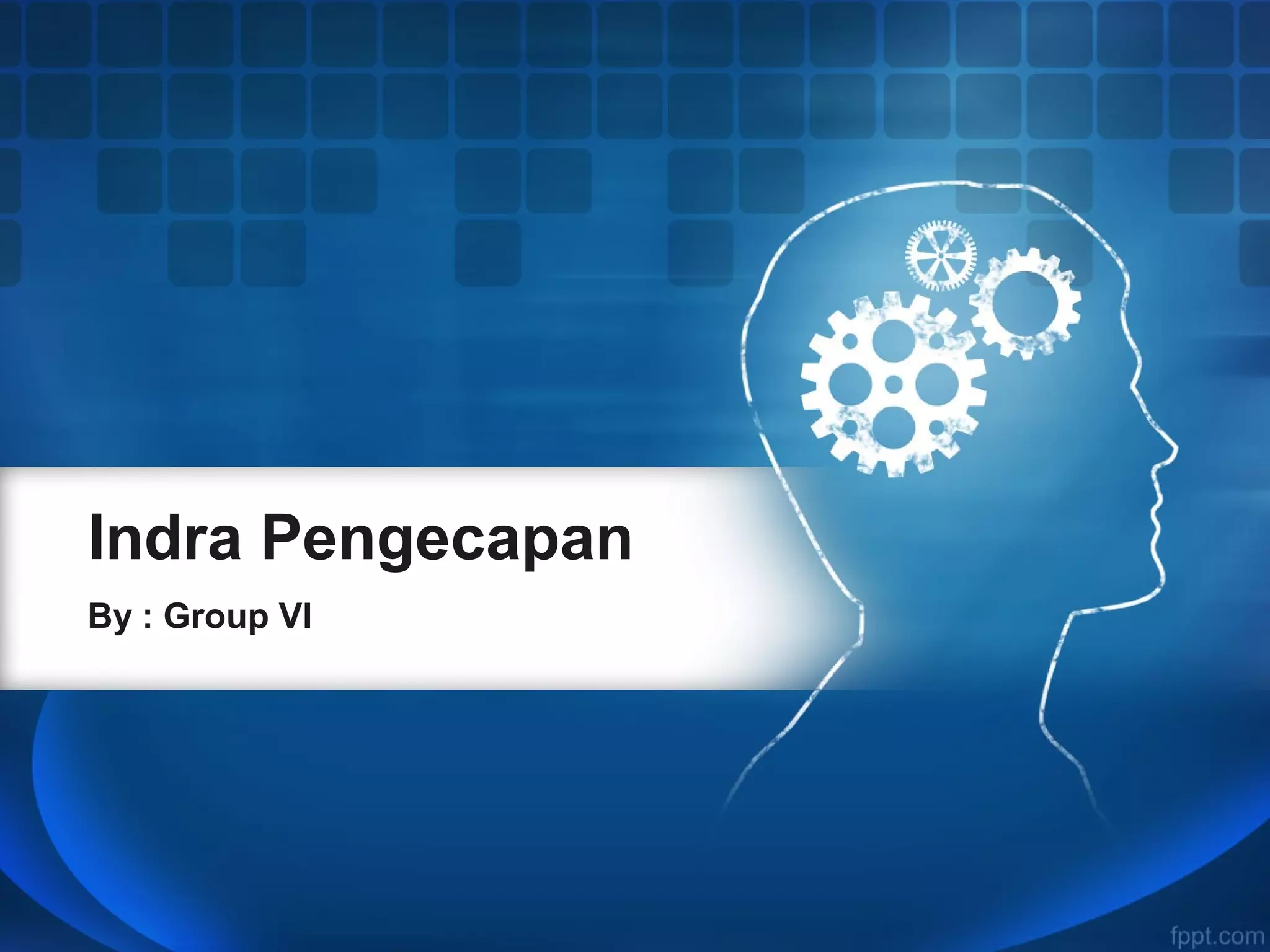 Indera Pengecapan (Lidah) | PPT