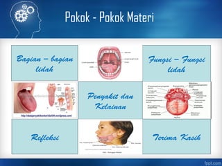 Indera Pengecapan (Lidah) | PPT