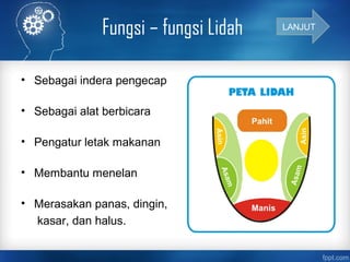 Indera Pengecapan (Lidah) | PPT