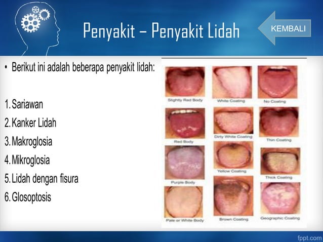 Indera Pengecapan (Lidah) | PPT