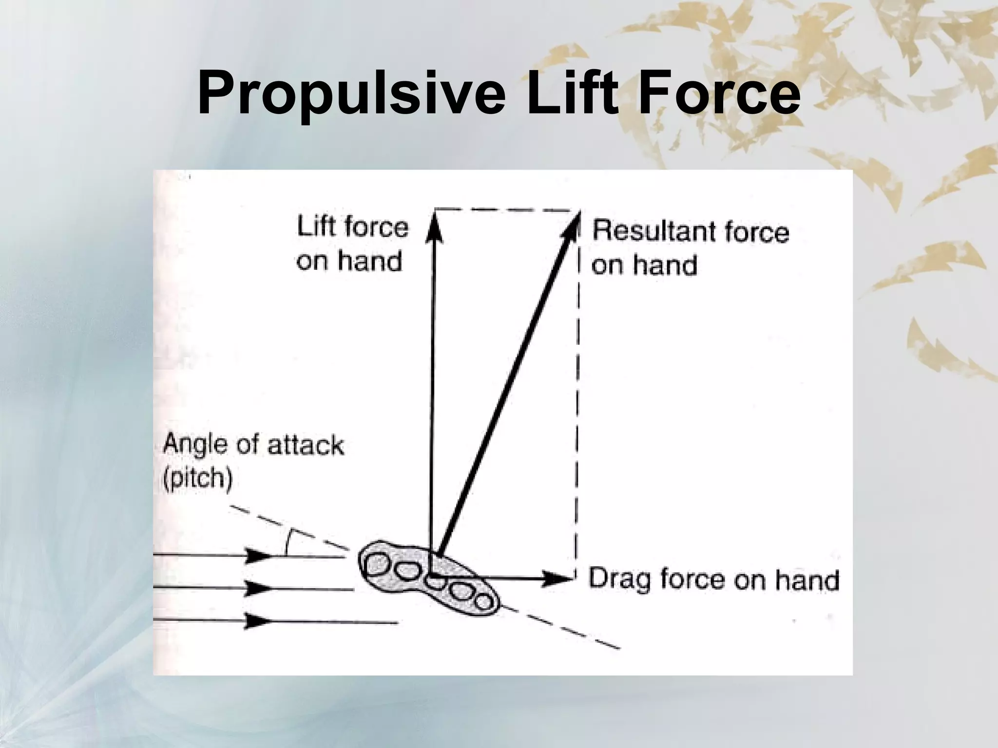 Biomechanic of Swimming | PPT