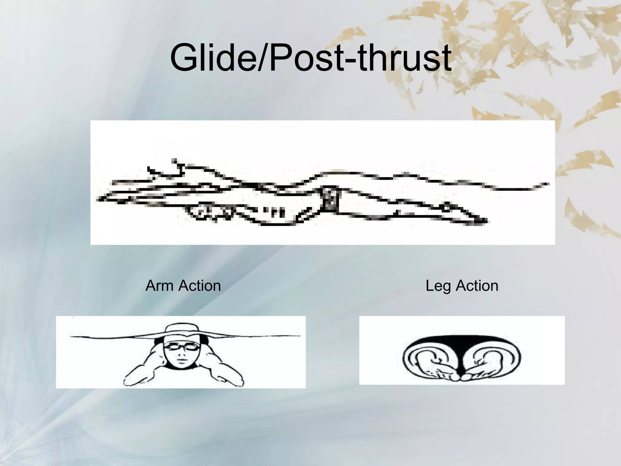 Biomechanic of Swimming | PPT