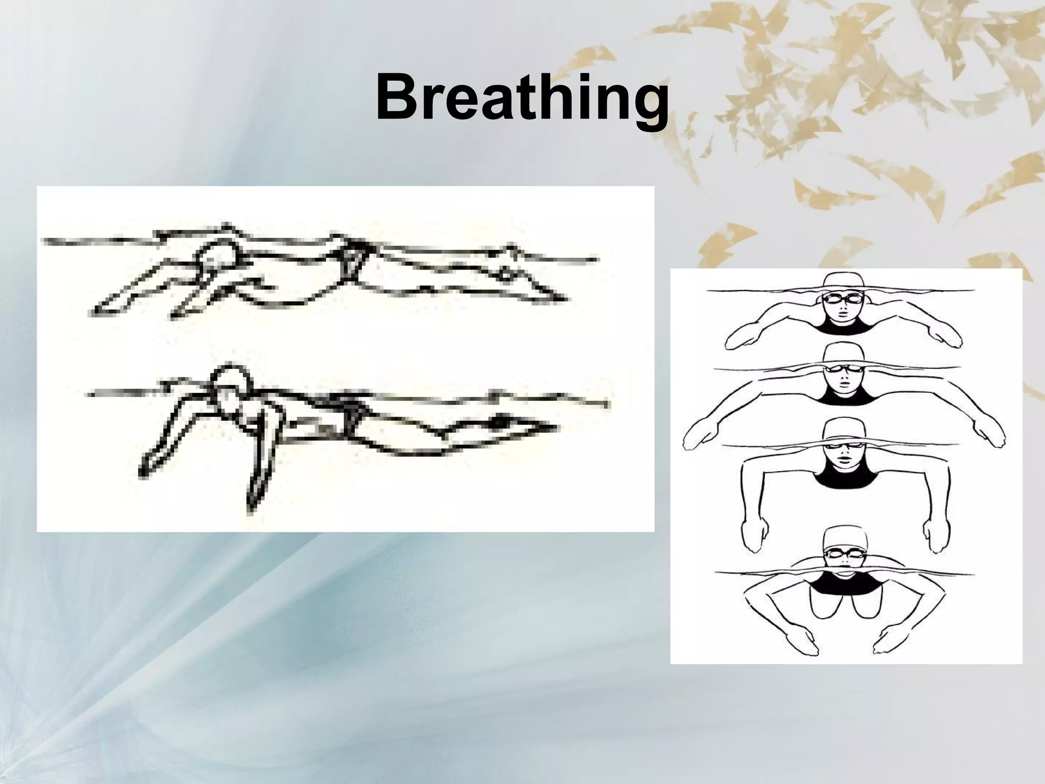 Biomechanic of Swimming | PPT