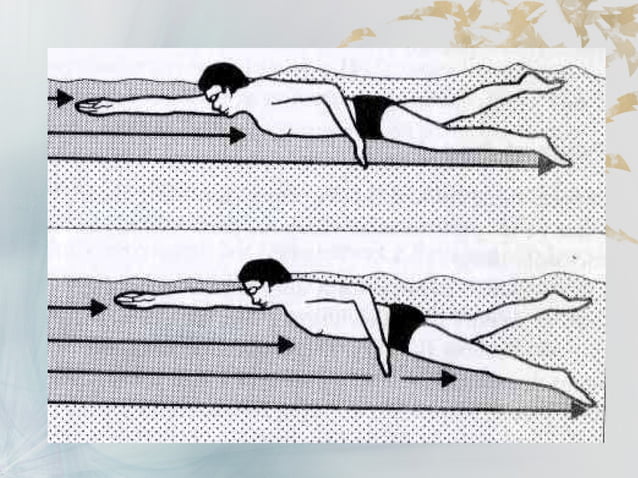 Biomechanic of Swimming | PPT