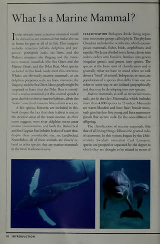National Audubon Society Guide To Marine Mammals Of The World Randall R ...