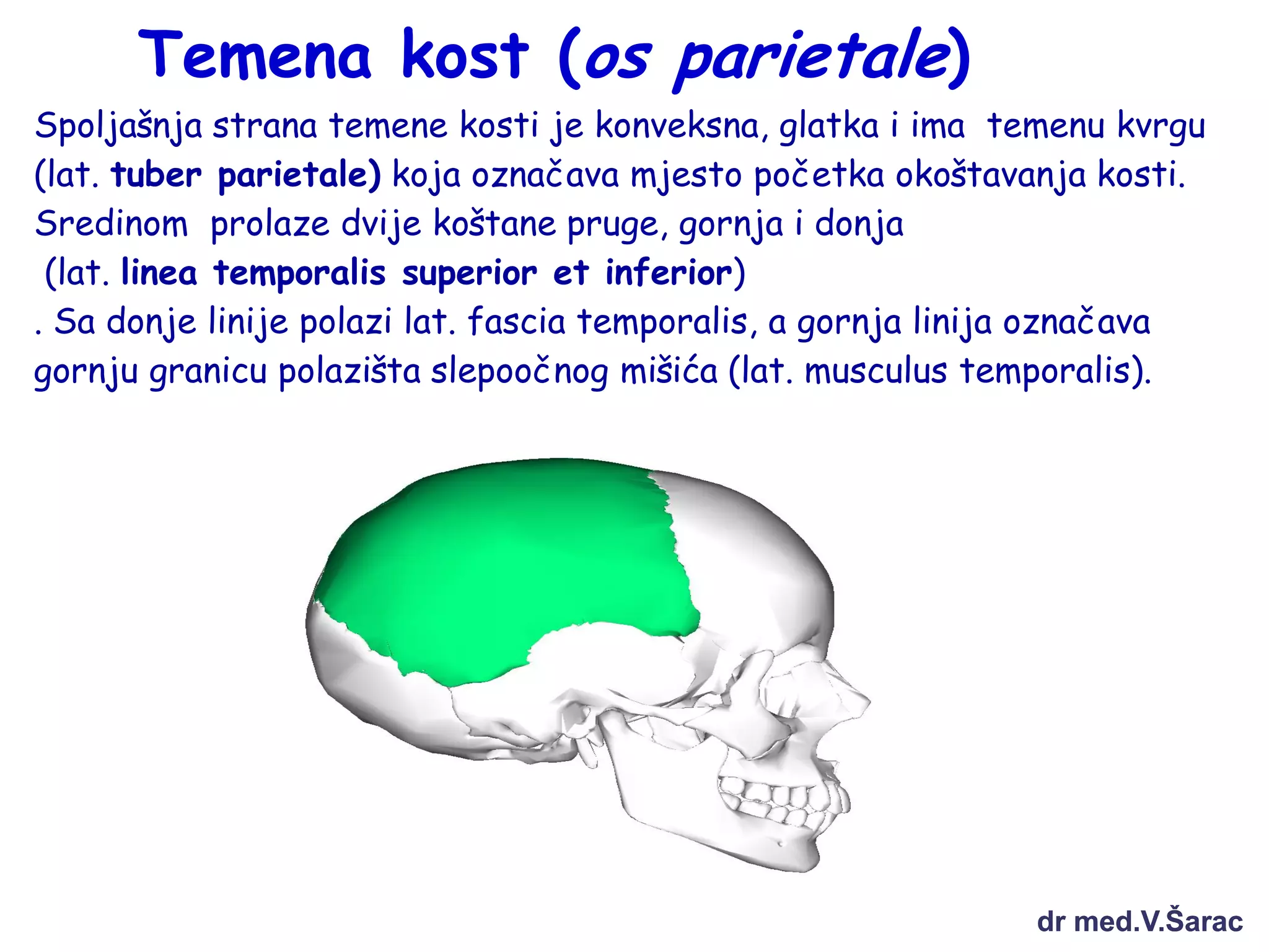 Kosti-lobanje- | PDF