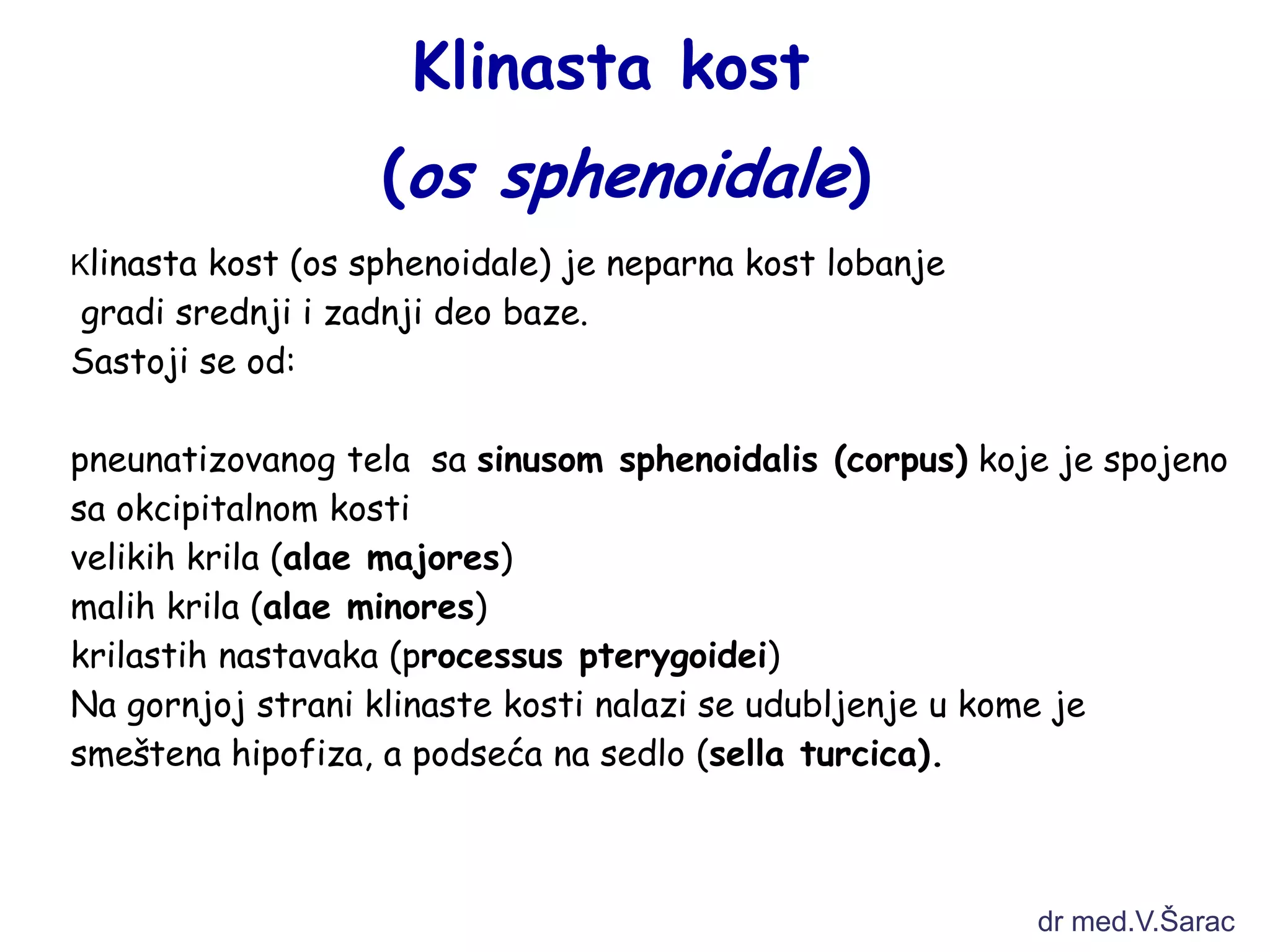 Kosti-lobanje- | PDF