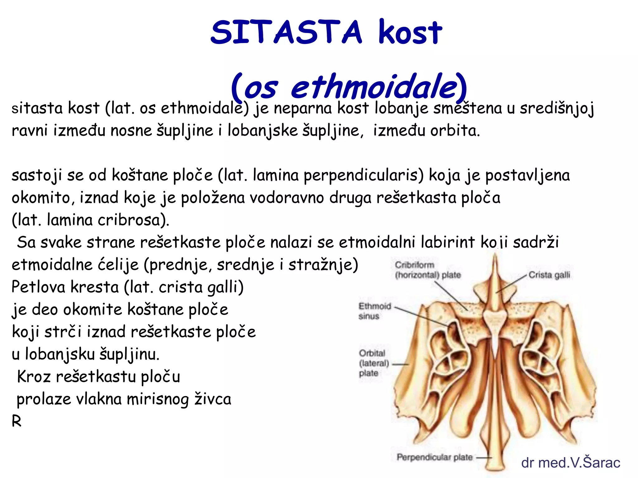Kosti-lobanje- | PDF