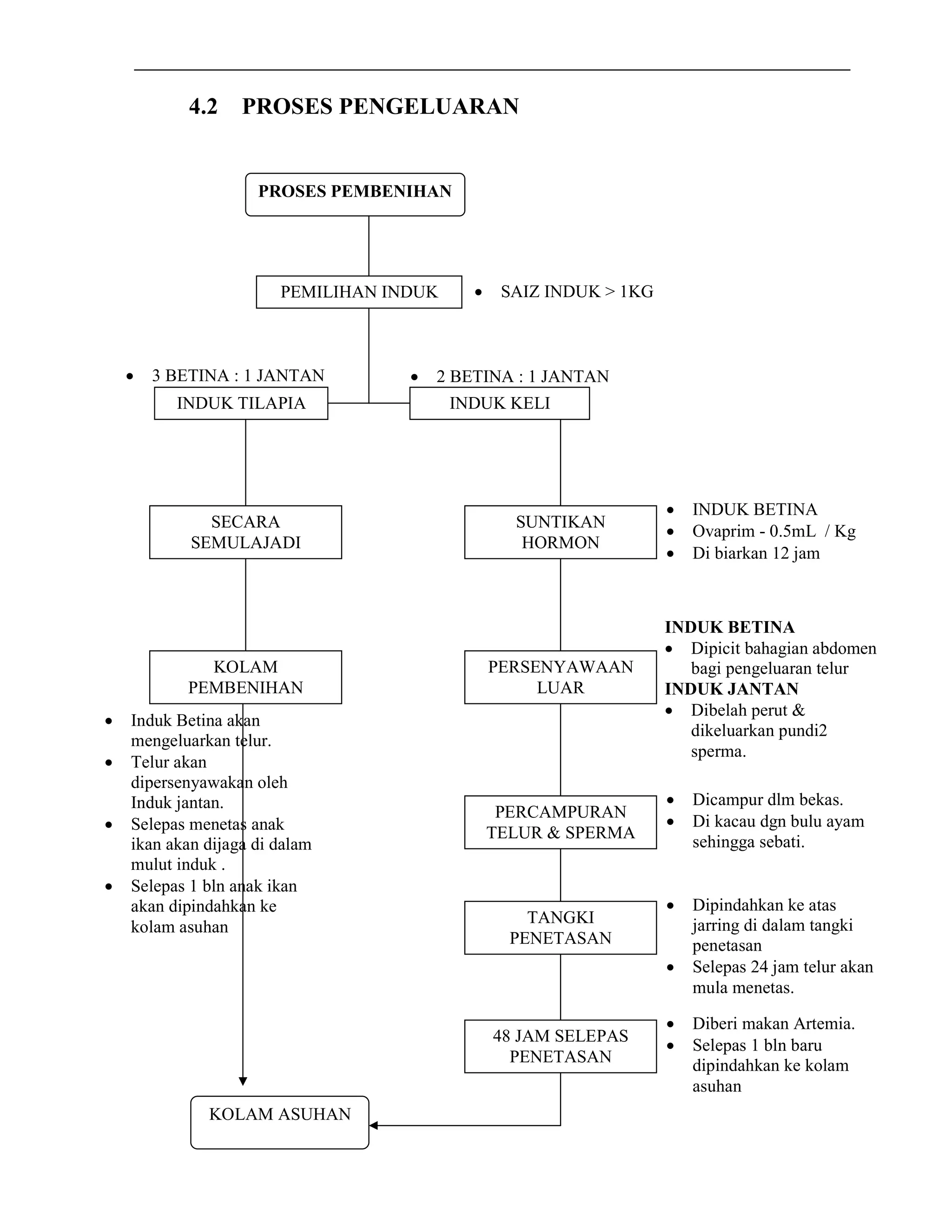 24787198 rancangan-perniagaan-ikan-keli-1 | PDF