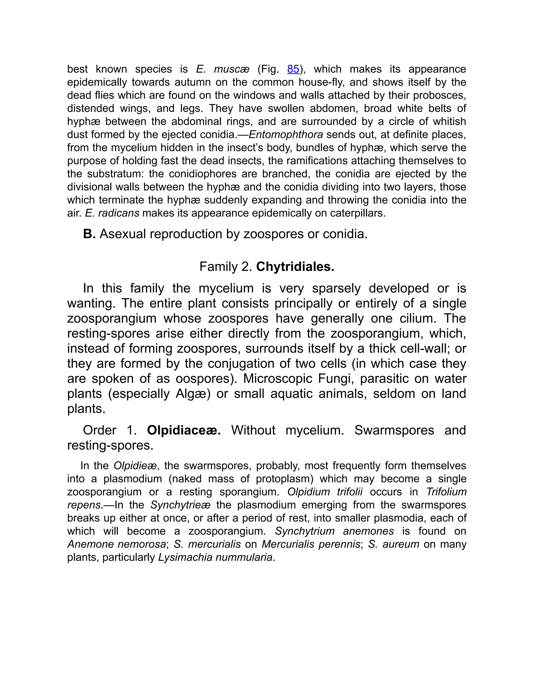 Soil microbiology ecology and biochemistry 3ed Edition Paul E.A. (Ed.) | PDF