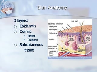 Facial Rejuvenation Acupuncture | PPT | Herbs and Supplements ...