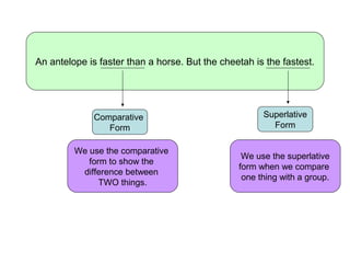 Quiz Comparative & Superlative forms | PPT