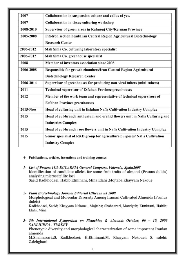 cv english 2016 | PDF