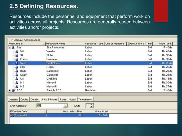 Primavera tutorial presentation .pptx