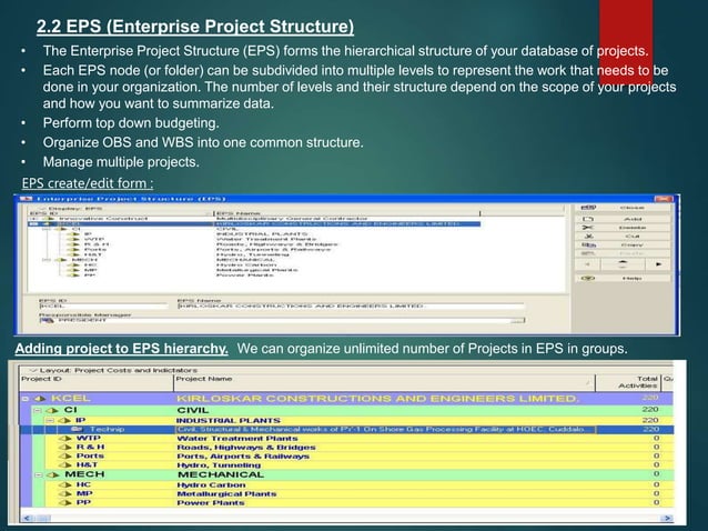 Primavera tutorial presentation .pptx