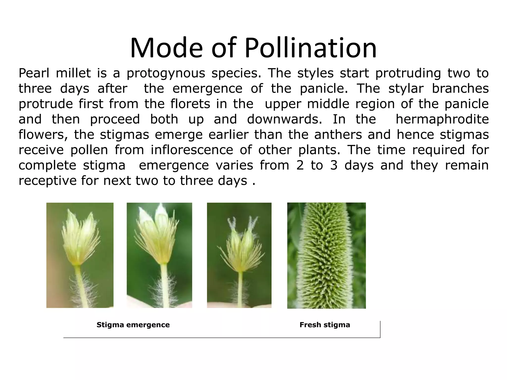 Inflorescence, Flower, Flower structures, Mode of Pollination, Seed ...