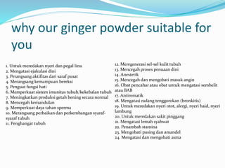 jahe segar | PPTX