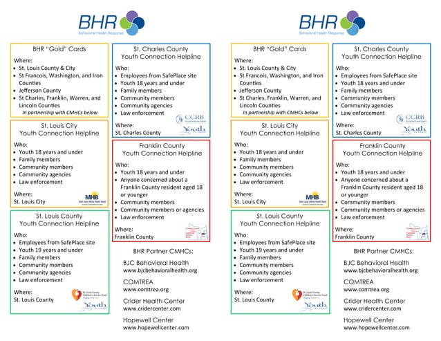 BHR Resource Cheat Sheet | PDF