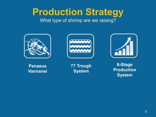 ABC Shrimp Co. ppt | PPT