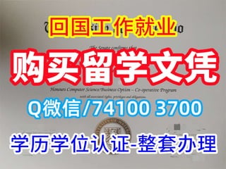 UMBC Bachelor Diploma | PDF