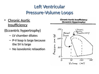 presentation of left ventricular pressure volume loops for dummies | PPT