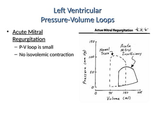 presentation of left ventricular pressure volume loops for dummies | PPT