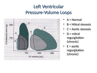 presentation of left ventricular pressure volume loops for dummies | PPT
