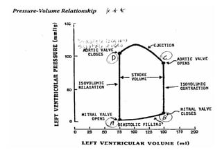 presentation of left ventricular pressure volume loops for dummies | PPT