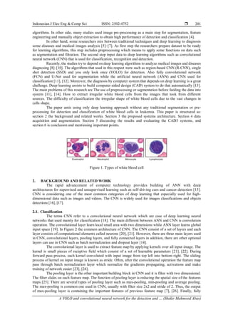 A YOLO and convolutional neural network for the detection and ...