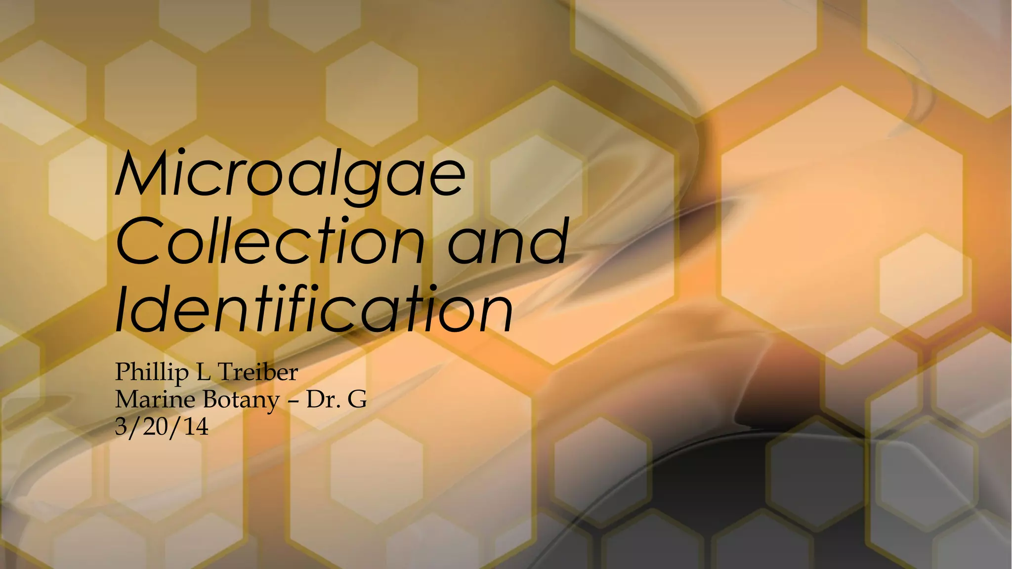 Microalgae Collection and Identification | PPT