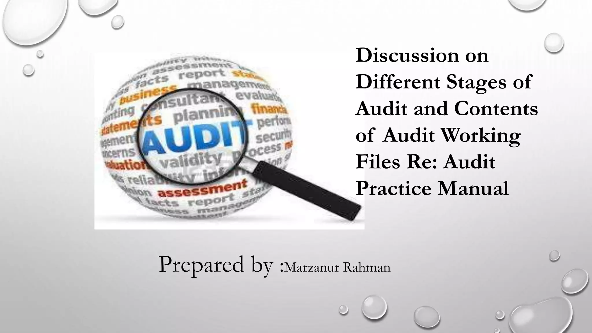 Presentation 1 - Different Stages of Audit | PPTX