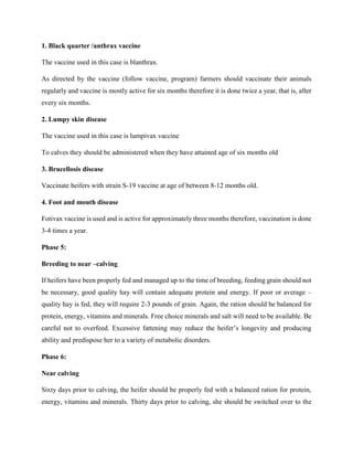 Calf management for dairy | PDF