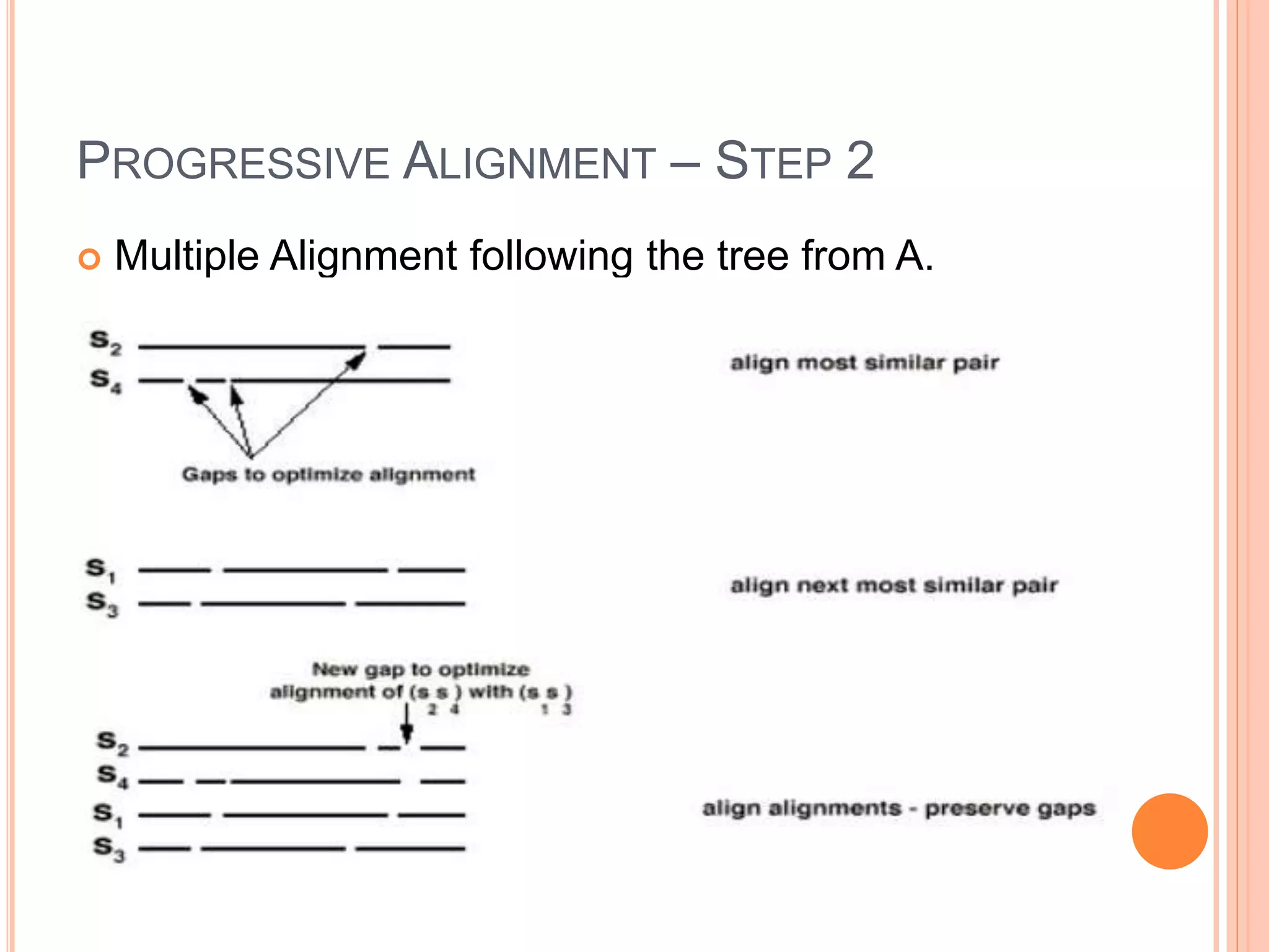 Multiple Sequence Alignment | PPTX | Genetics | Science