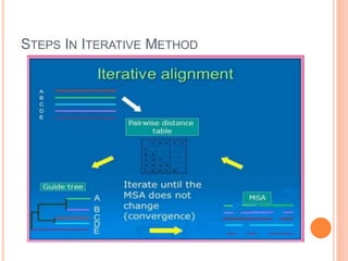 Multiple Sequence Alignment | PPTX