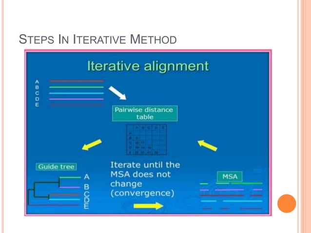 Multiple Sequence Alignment | PPTX | Genetics | Science