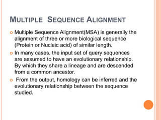 Multiple Sequence Alignment | PPTX | Genetics | Science