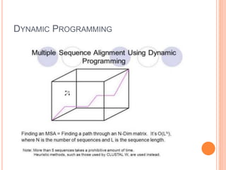 Multiple Sequence Alignment | PPTX | Genetics | Science