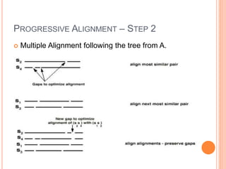 Multiple Sequence Alignment | PPTX | Genetics | Science