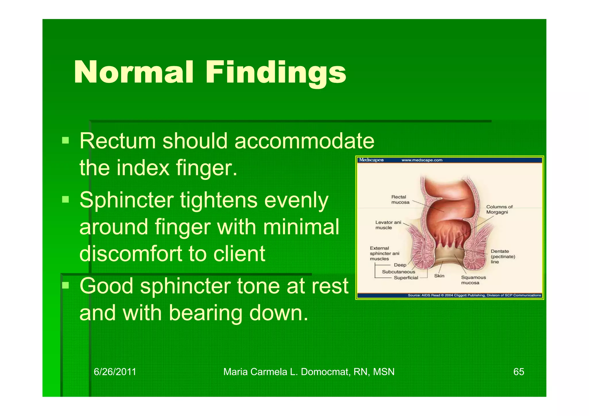 Assessment of the anus & rectum | PDF