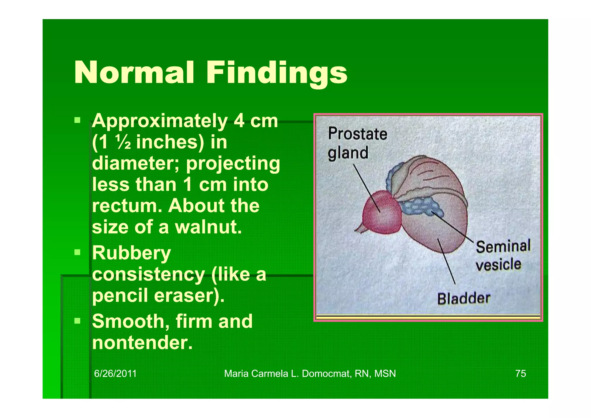 Assessment of the anus & rectum | PDF