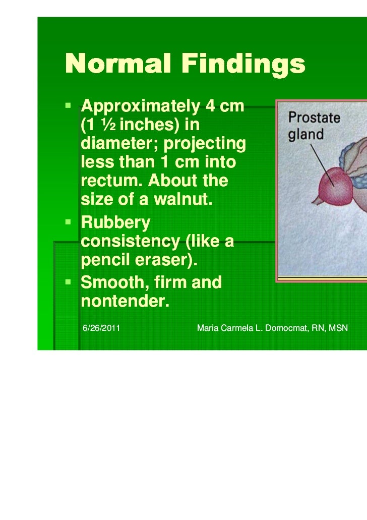 Assessment Of The Anus And Rectum