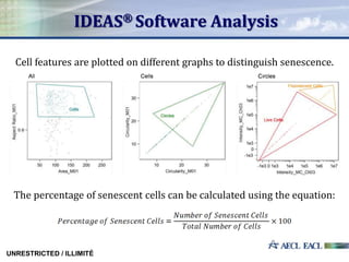 Cellular Senescence Presentation | PPTX