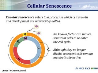 Cellular Senescence Presentation | PPTX