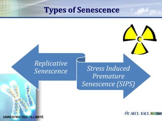 Cellular Senescence Presentation | PPTX