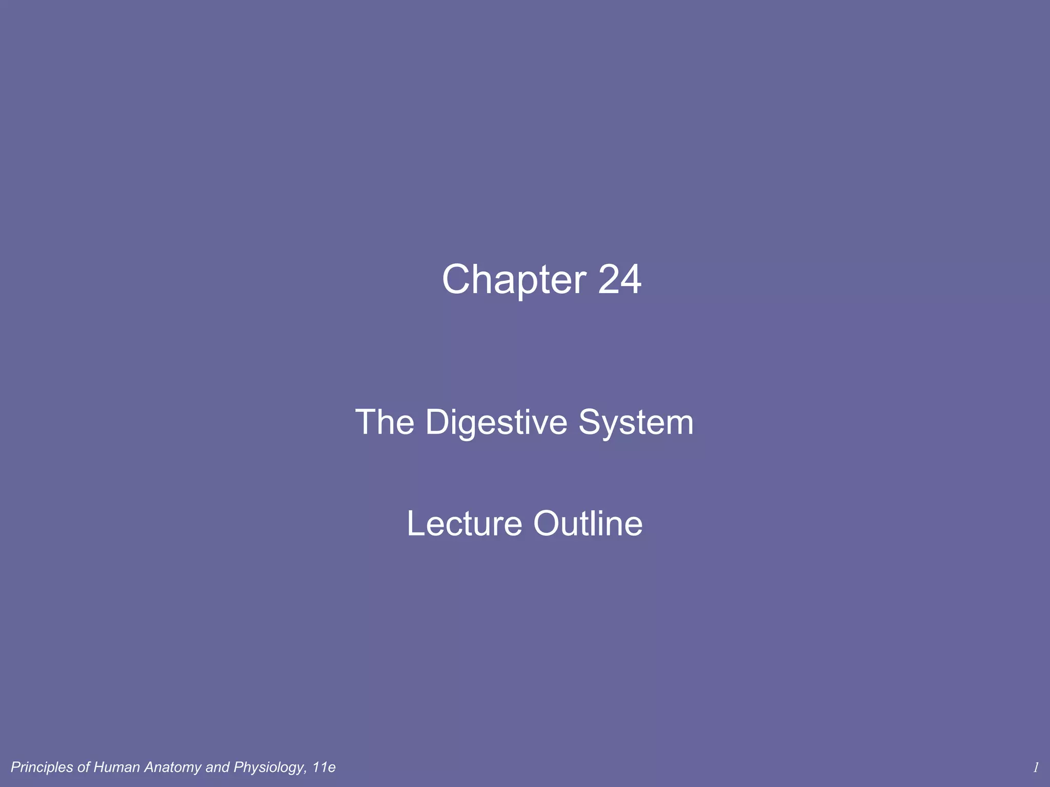24 [chapter 24 the digestive system][11e] | PPT