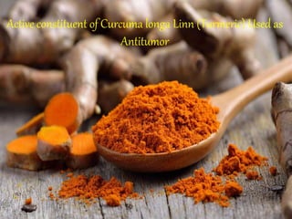 Curcuma longa, HALDI(HERBAL TREATMENT/ HERBAL MEDICINE) | PPTX ...