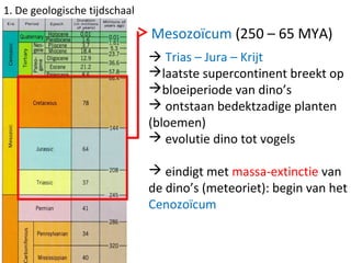 24 de geologische tijdschaal | PPS