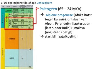 24 de geologische tijdschaal | PPS